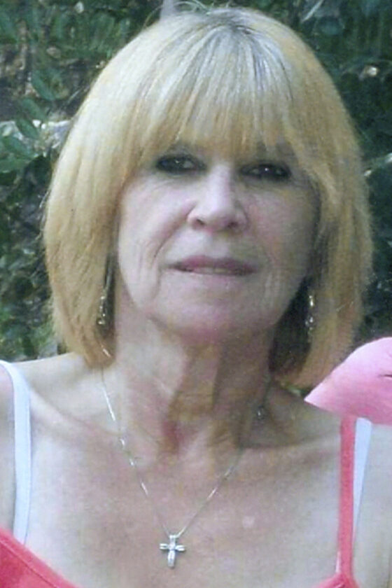 Shari Lynn Helterbran 1960-2021 | News, Sports, Jobs - The Vindicator